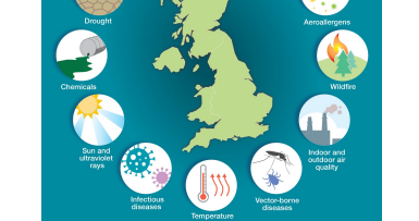 UK Government Report: Dengue is one of the most significant risks for ...